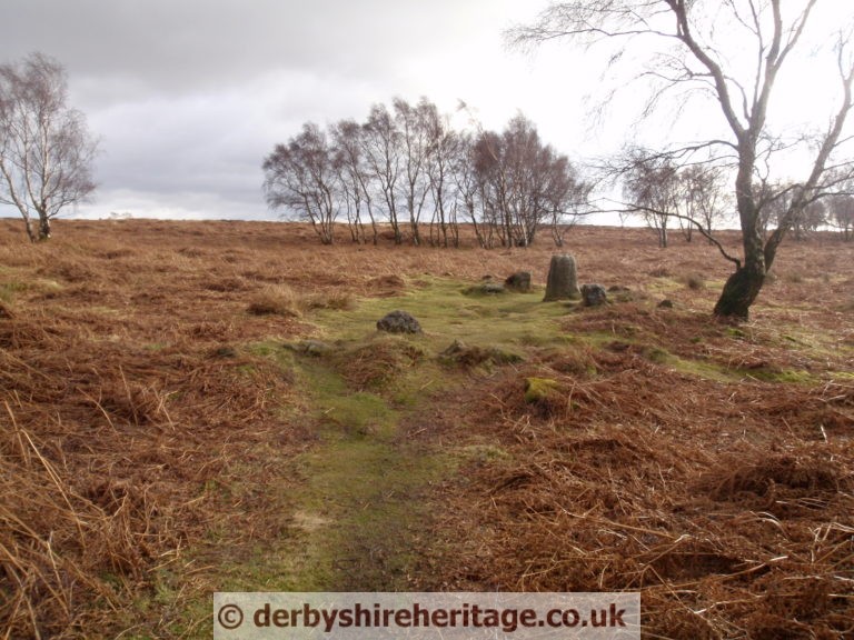 Stoke Flat stone circle - Derbyshire Heritage